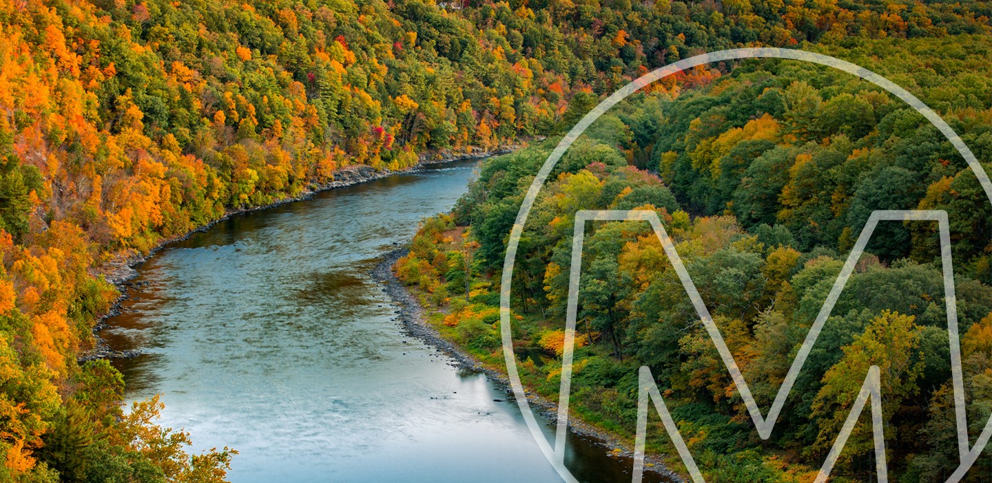 MIDTEL - Internet, Phone & TV Services